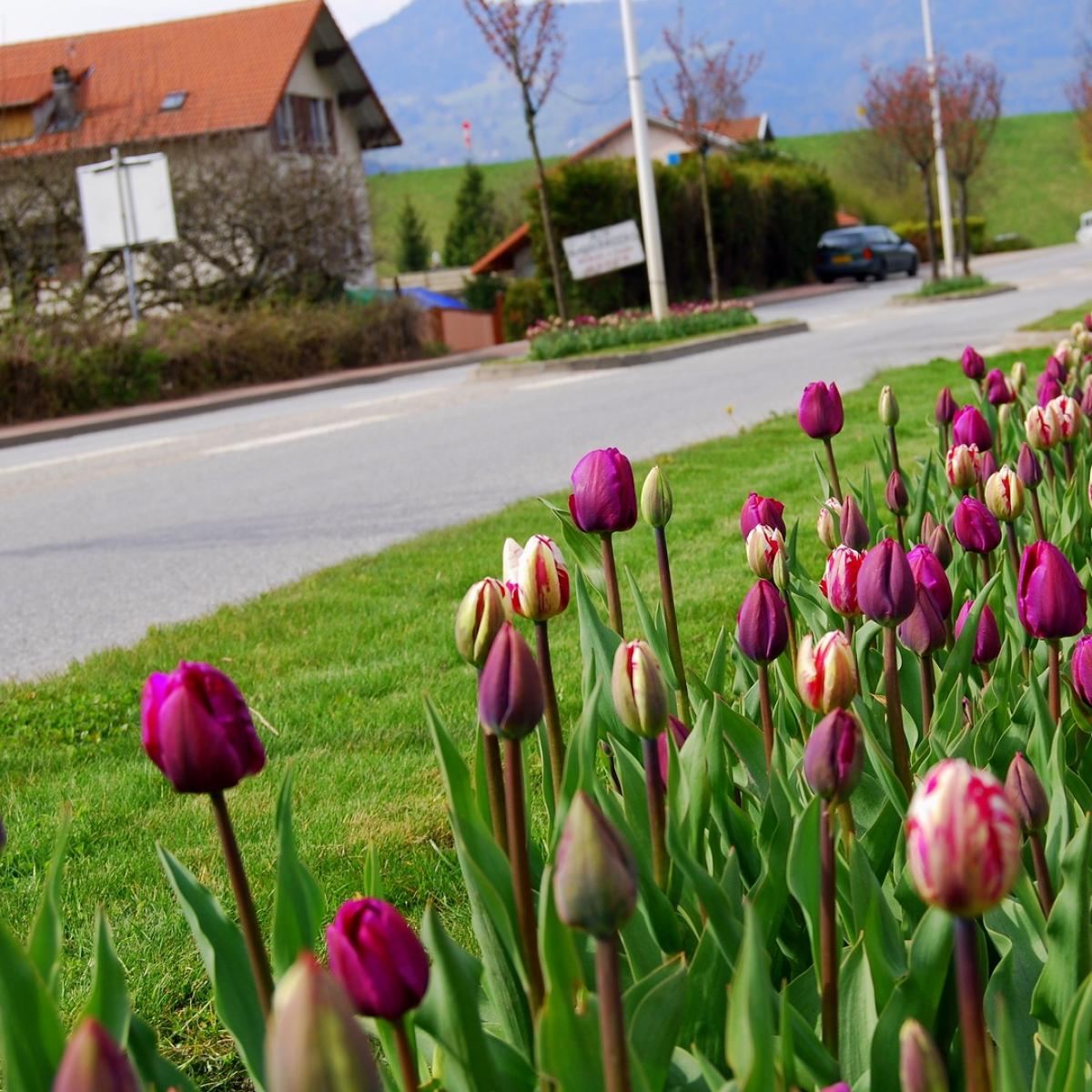 Les Incontournables | Allevard-les-Bains