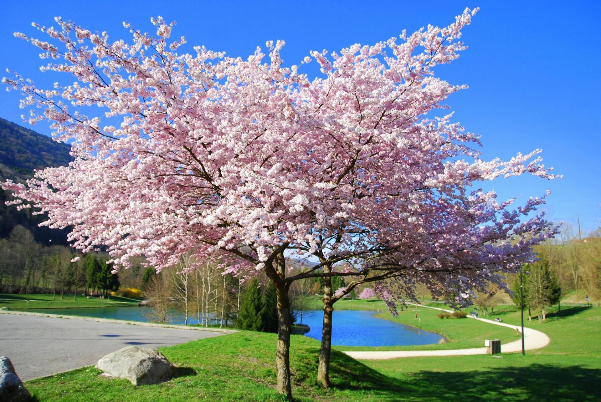 Le lac de la mirande | Allevard-Les Bains
